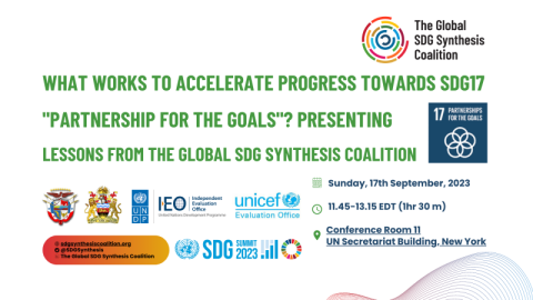 SDG Summit | THE GLOBAL SDG SYNTHESIS COALITION