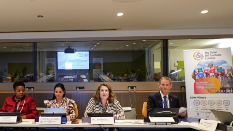 SDG Summit | THE GLOBAL SDG SYNTHESIS COALITION