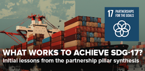 What works to achieve SDG-17? Initial lessons from the partnership ...